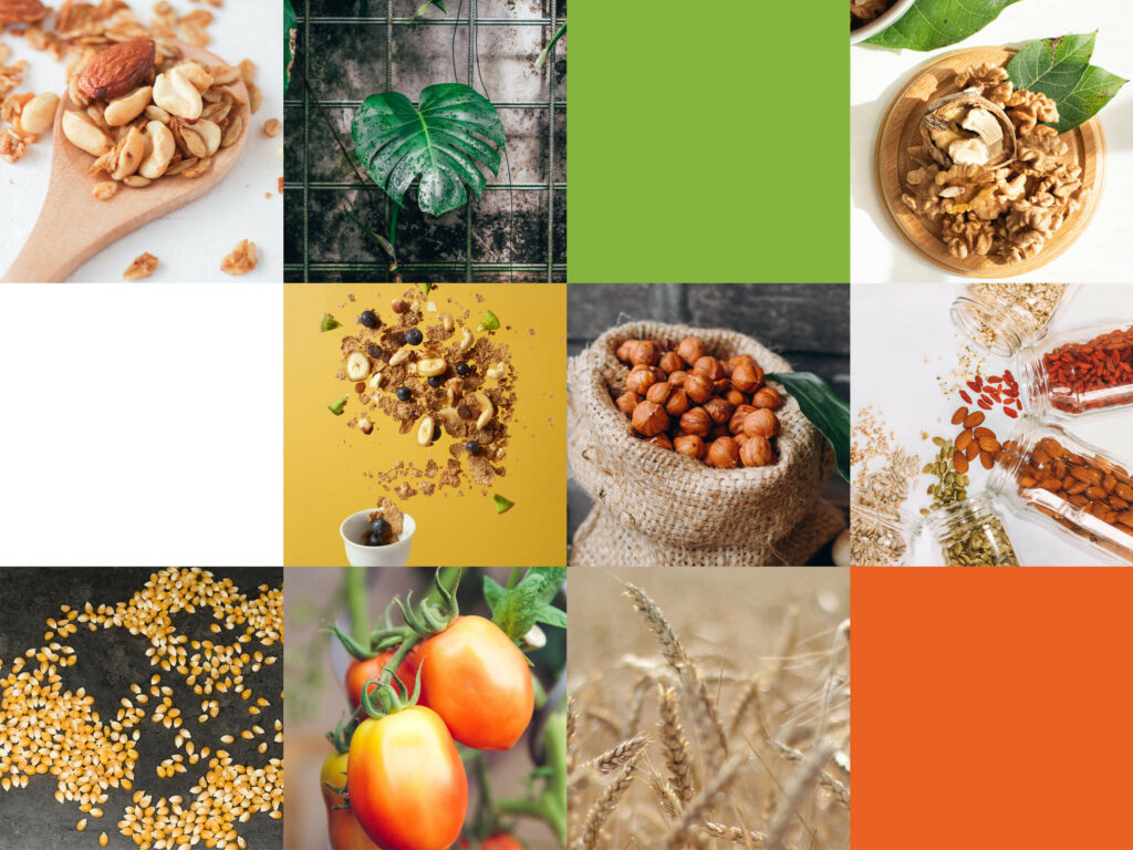 Creative stages of branding design: step-by-step guide | Degordian